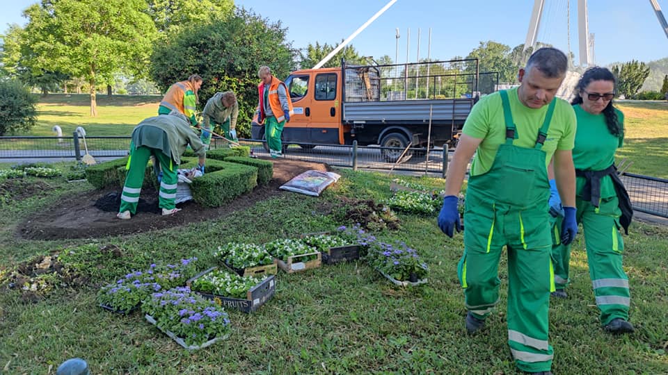 Unikom cvijećem i zelenilom uredio grbove Grada Osijeka! - Osijek Express