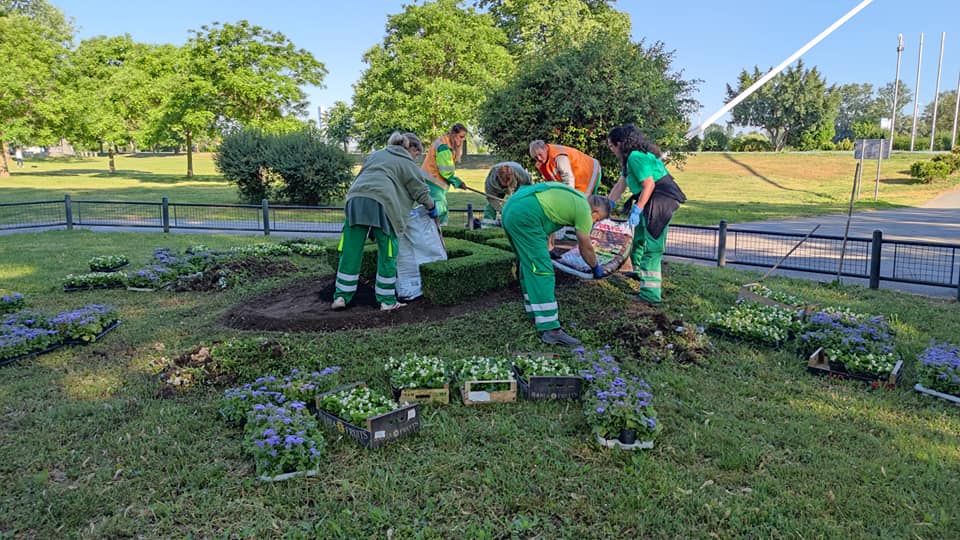 Unikom cvijećem i zelenilom uredio grbove Grada Osijeka! - Osijek Express
