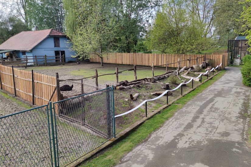 Renesansa ZOO vrta u Osijeku: Rekordne brojke, nove životnje..., uskoro ...
