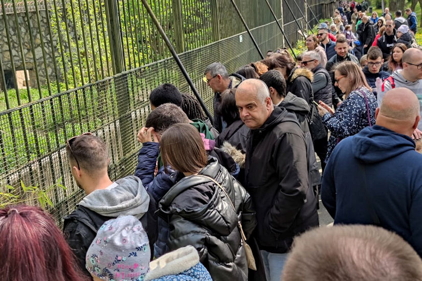 Renesansa ZOO vrta u Osijeku: Rekordne brojke, nove životnje..., uskoro ...